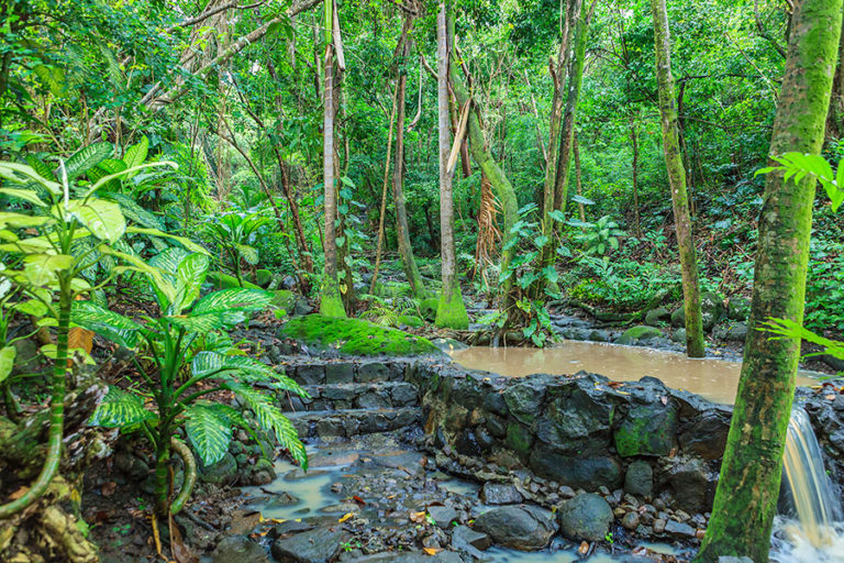 Saint Lucia Experiences & Activities | Things To Do in Saint Lucia ...