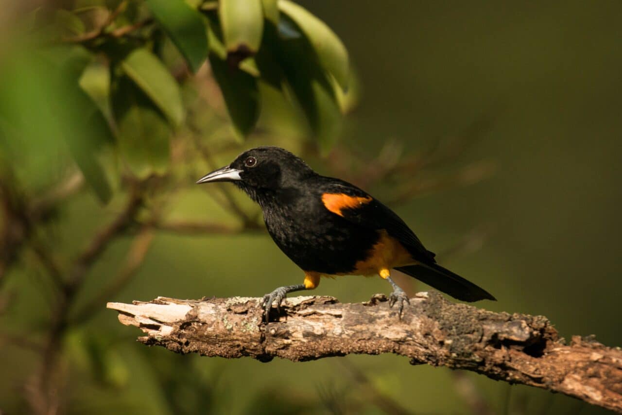 Plan Your Sustainability | Let Her Inspire You